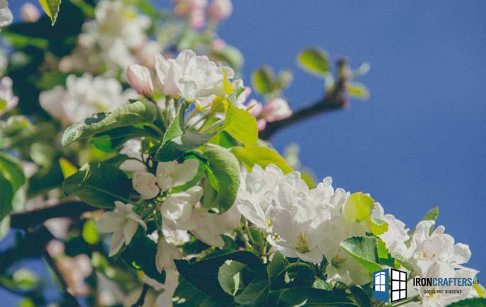Spring Forth with a Fresh Perspective - Iron Crafters, LLC